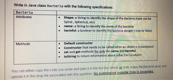 Solved Write in Java class Bacteria with the following | Chegg.com