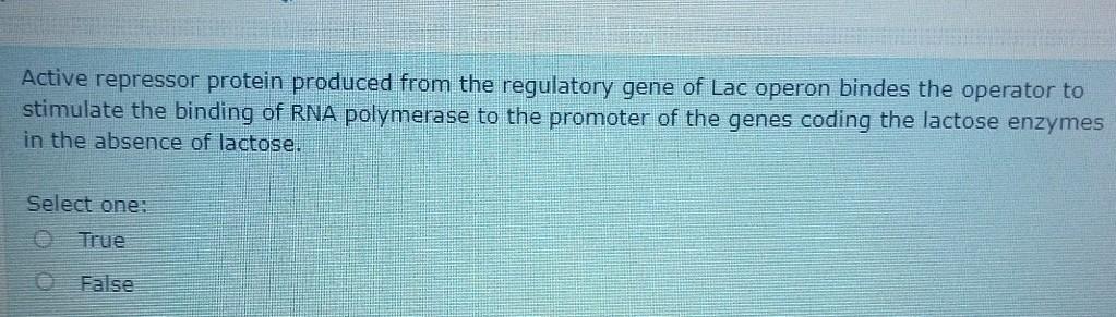 Solved Active repressor protein produced from the regulatory | Chegg.com