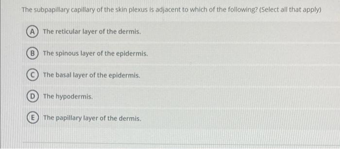 Solved The subpapillary capillary of the skin plexus is | Chegg.com