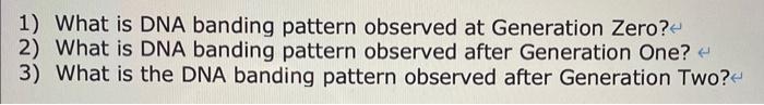 Solved 1) What is DNA banding pattern observed at Generation | Chegg.com
