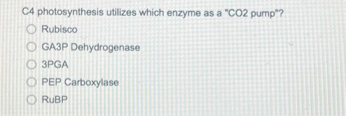 Solved C4 photosynthesis utilizes which enzyme as a " CO2 | Chegg.com