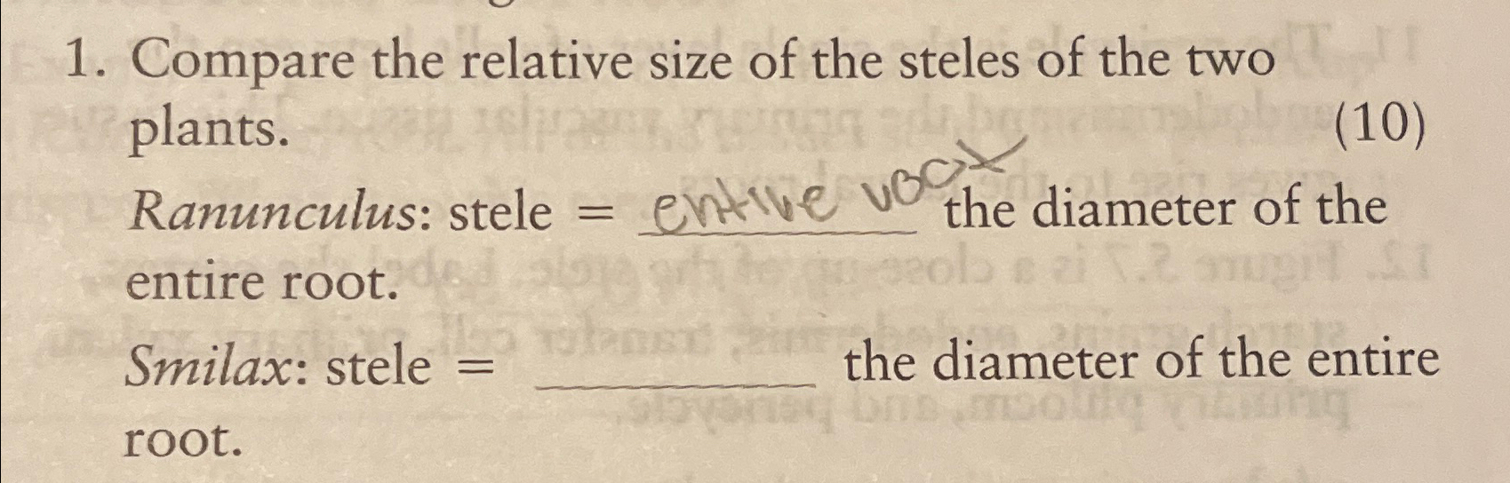 Solved Compare the relative size of the steles of the two | Chegg.com
