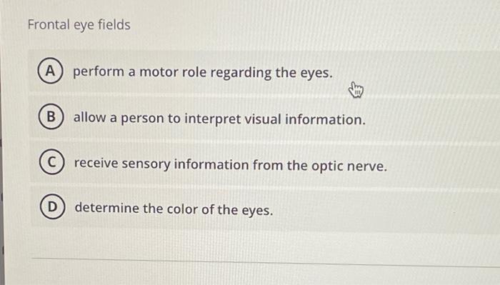Solved Frontal eye fields A) perform a motor role regarding | Chegg.com