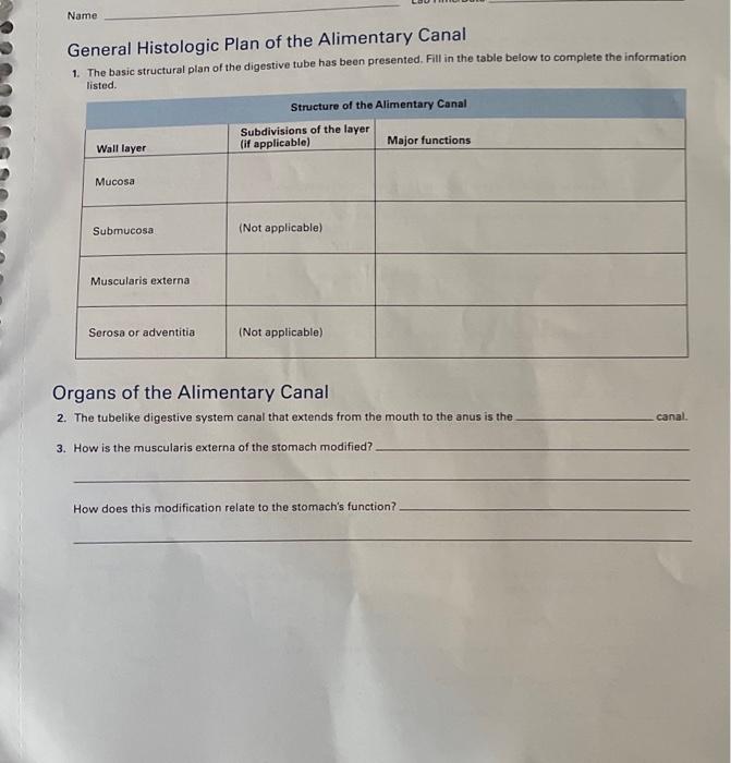 Solved Name General Histologic Plan of the Alimentary Canal | Chegg.com