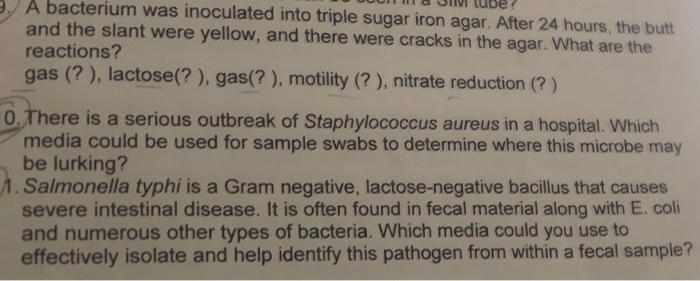 Solved A bacterium was inoculated into triple sugar iron | Chegg.com