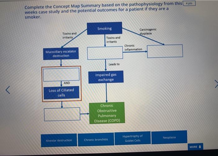 Solved Complete the Concept Map Summary based on the | Chegg.com