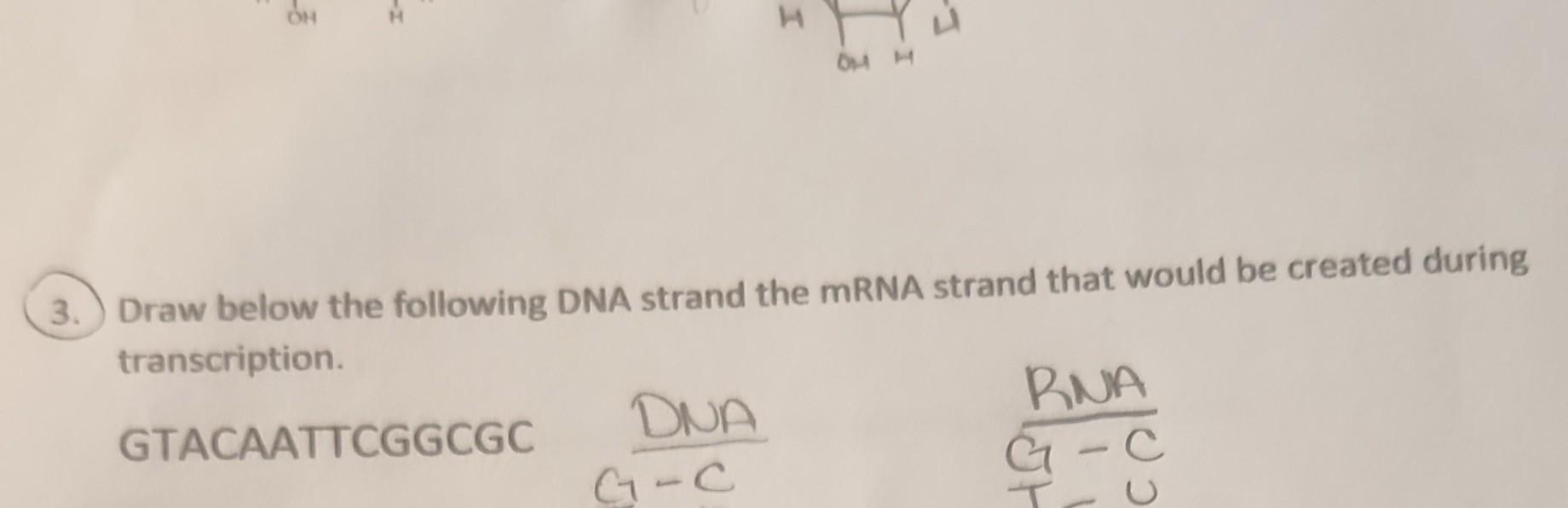 Solved 3. Draw below the following DNA strand the mRNA | Chegg.com