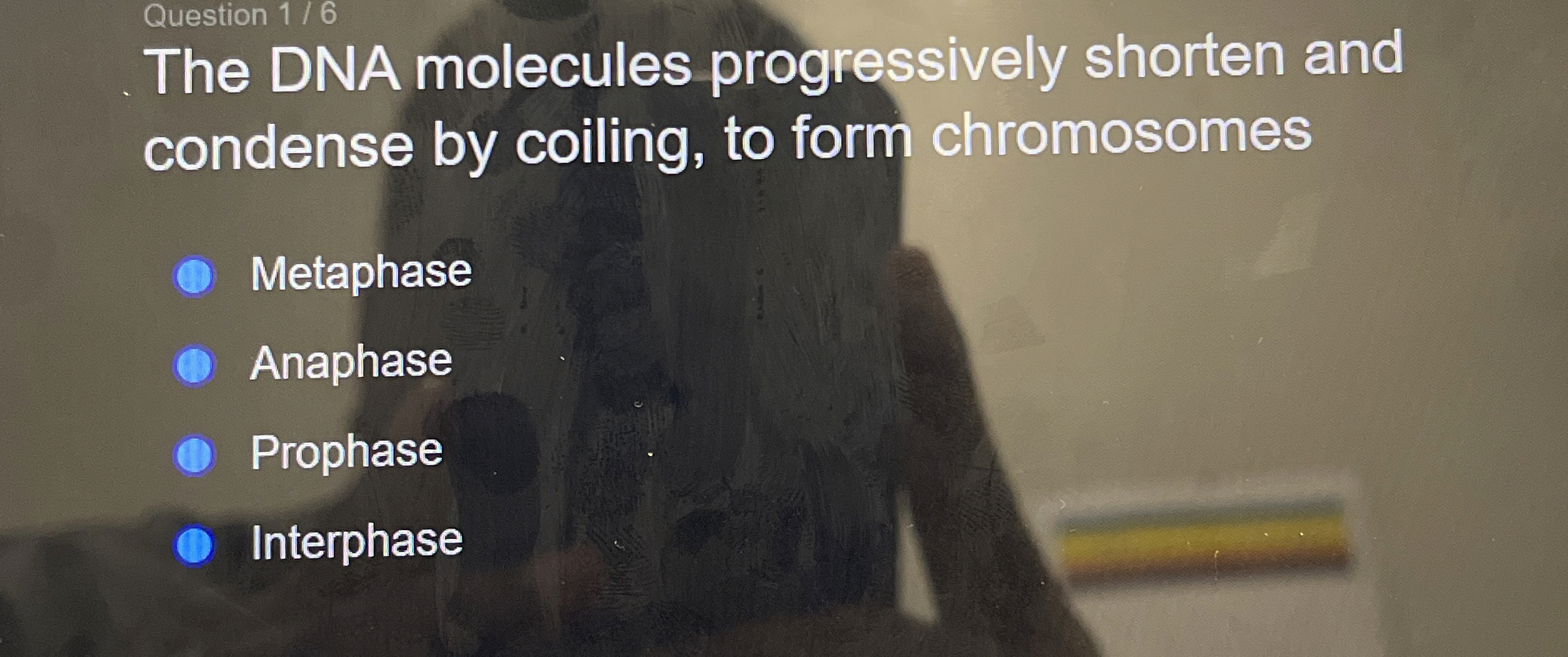 Solved The DNA molecules progressively shorten and condense | Chegg.com