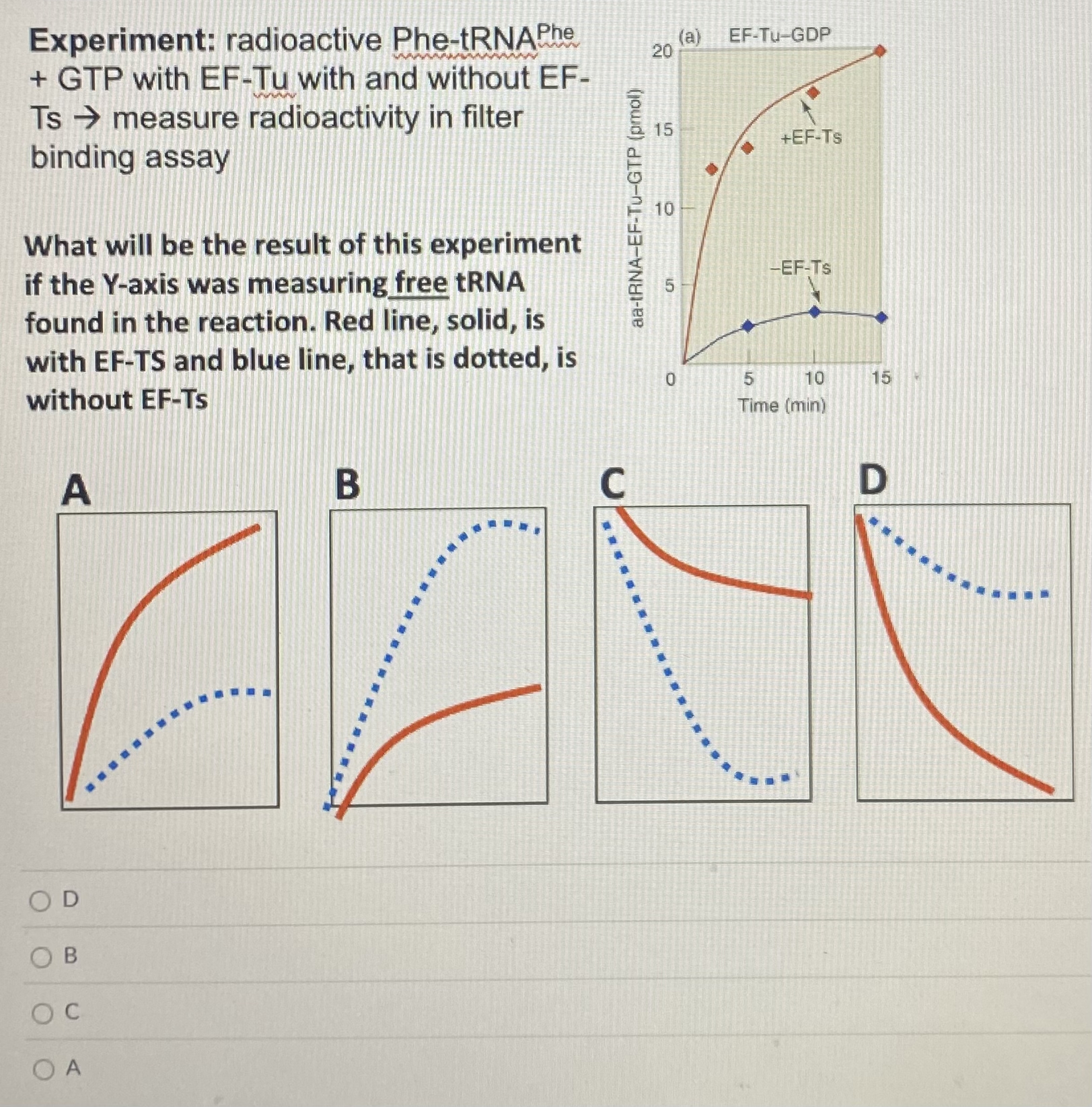 Solved Experiment: radioactive Phe-tRNA ?Phe + ﻿GTP with | Chegg.com