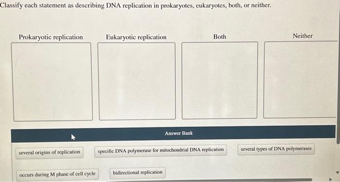 Solved lassify each statement as describing DNA replication | Chegg.com