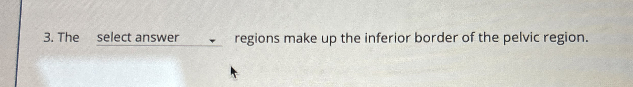 Solved The select answer regions make up the inferior border | Chegg.com