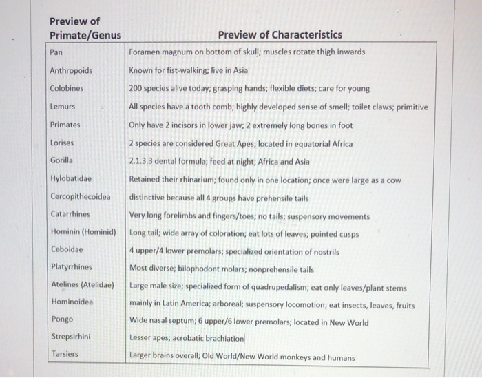 Solved Preview of Primate/Genus Pan Anthropoids Preview of | Chegg.com