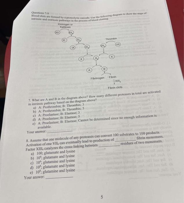 Solved Questions 7.9 Blood elots are formed by a proteolytic | Chegg.com
