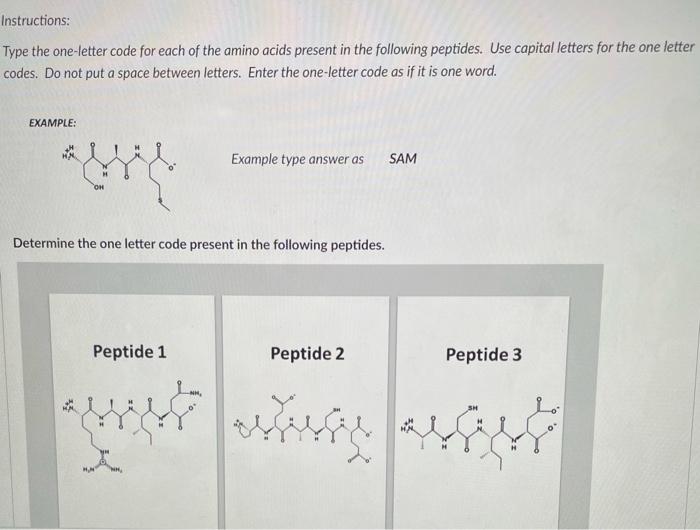 Solved type the one letter code for each of the amino acids | Chegg.com