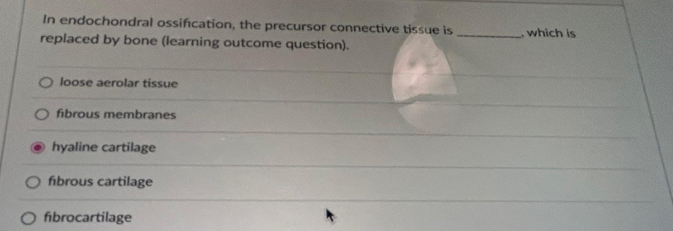 Solved In endochondral ossification, the precursor | Chegg.com