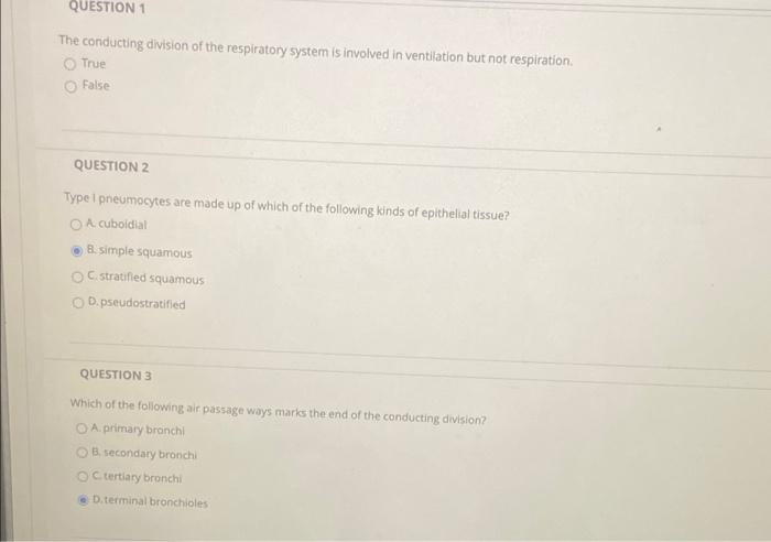 Solved QUESTION 1 The conducting division of the respiratory | Chegg.com