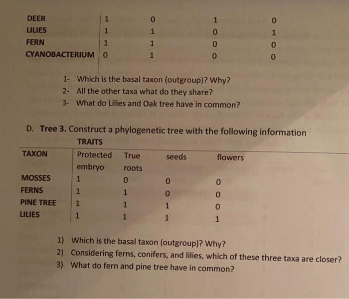 Solved Construct and interpret your own phylogenetic tree | Chegg.com