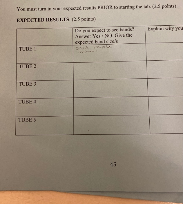 Solved You must turn in your expected results PRIOR to | Chegg.com