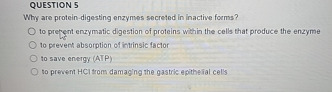 Solved QUESTION 5Why are protein-digesting enzymes secreted | Chegg.com