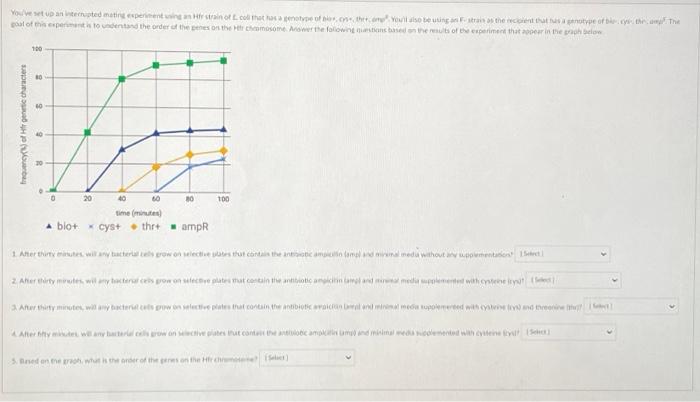 Solved You've set up an interrupted mating experiment using | Chegg.com
