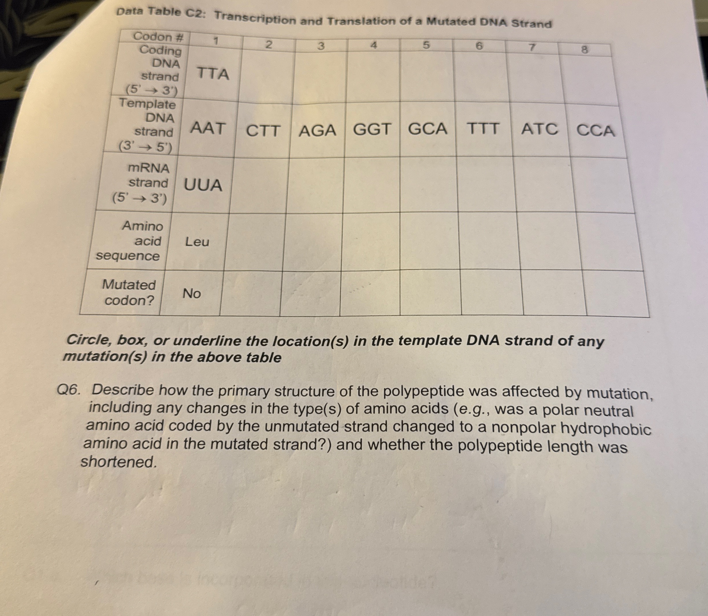 Solved Data Table C2: Transcription and Translation of a | Chegg.com