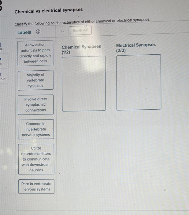 Solved Chemical vs electrical synapses | Chegg.com