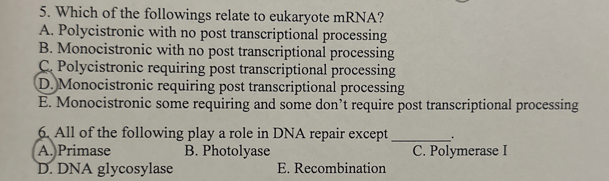 Solved Which of the followings relate to eukaryote mRNA?A. | Chegg.com