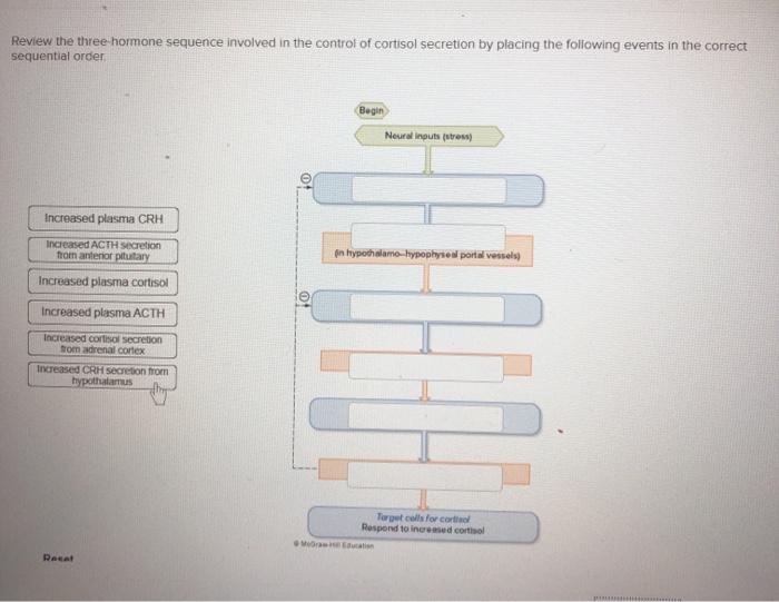 Solved Review the three hormone sequence involved in the | Chegg.com
