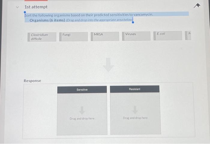 1st attempt Sort the following organisms based on | Chegg.com