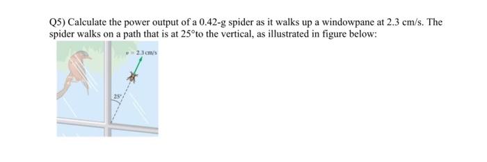 Solved Q5) Calculate the power output of a 0.42−g spider as | Chegg.com