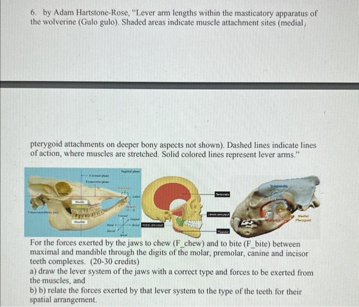 6. by Adam Hartstone-Rose, "Lever arm lengths within | Chegg.com