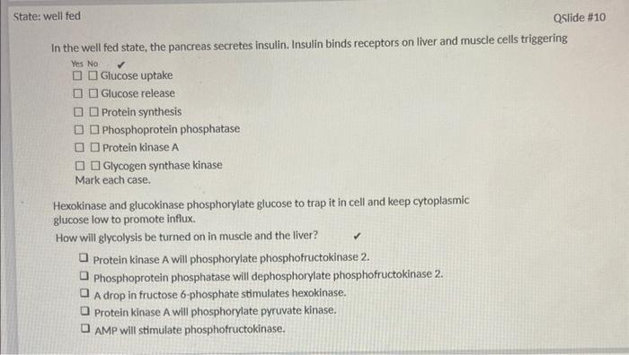 Solved In the well fed state, the pancreas secretes insulin. | Chegg.com