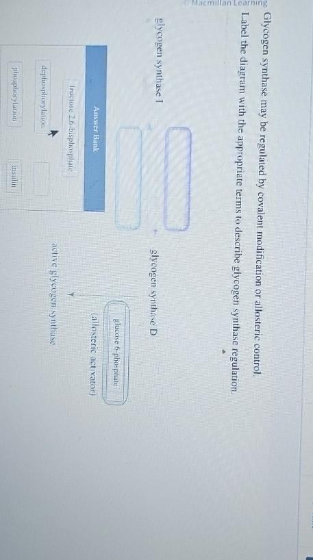 Solved Glycogen synthase may be regulated by covalent | Chegg.com