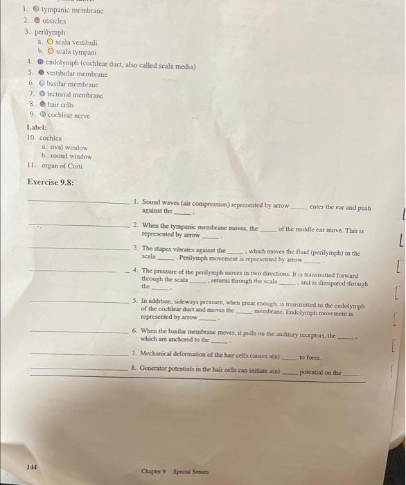 Solved 4. (B endolymph (cochlear duct, also called scala | Chegg.com