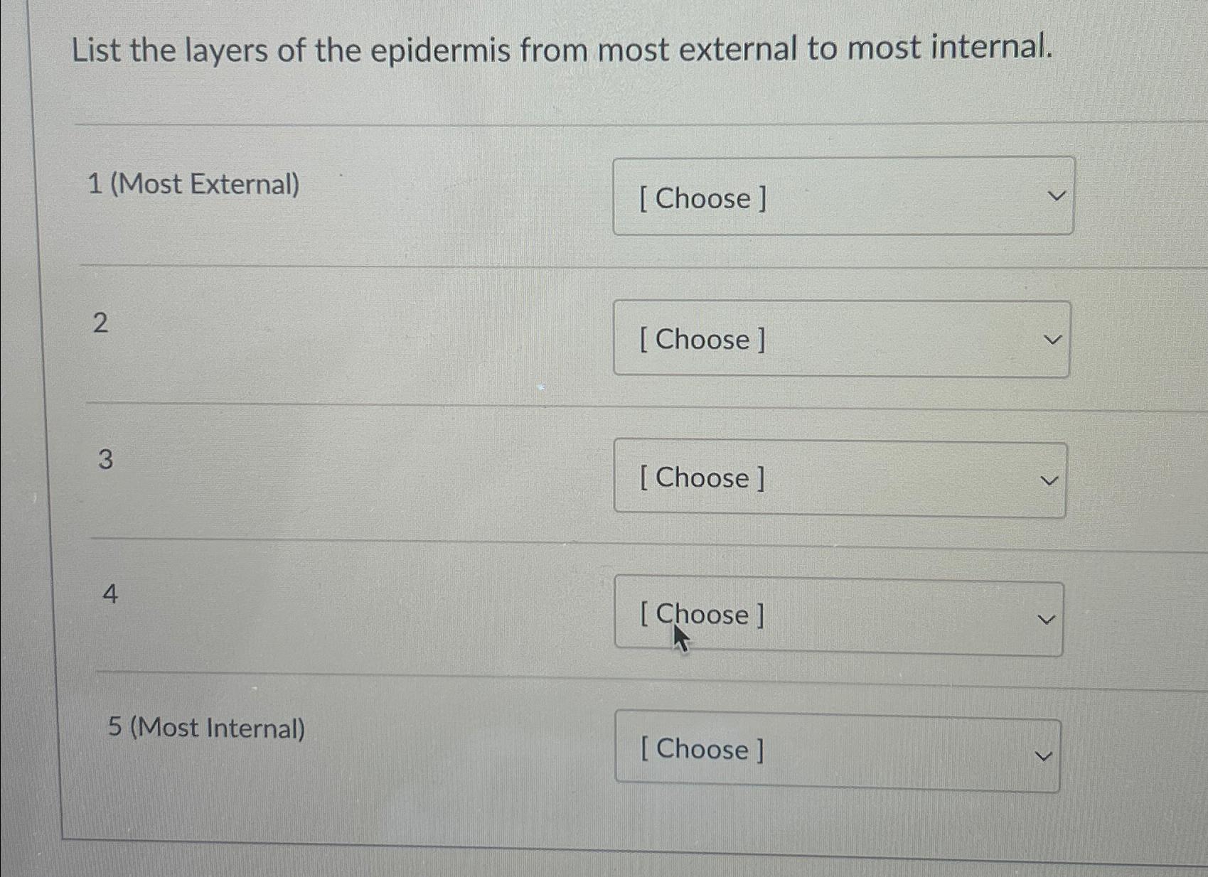 Solved List the layers of the epidermis from most external | Chegg.com