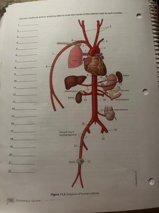 Solved Use your texit 2. 3. 6 7. B. 9. 10. 11. 12 13. 14 15. | Chegg.com