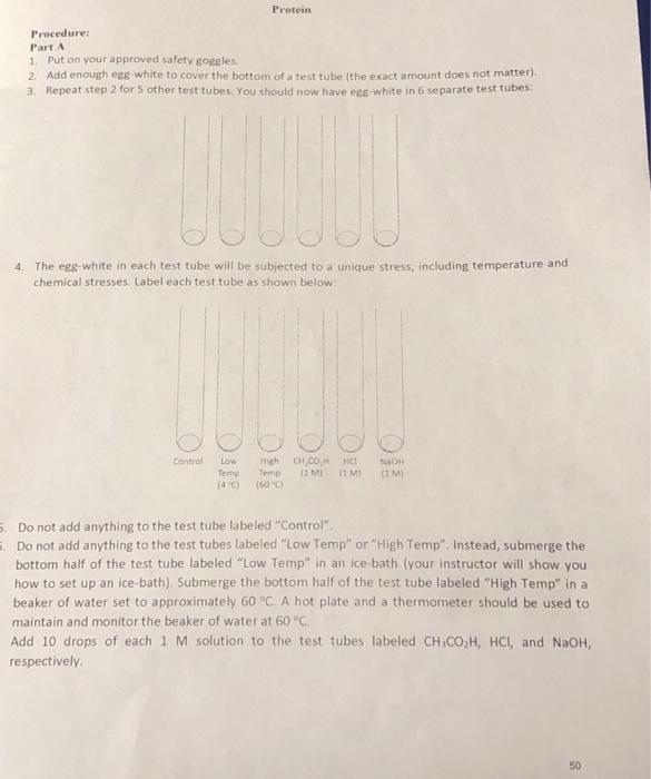 Solved Conclusions: Part A Write a short conclusion to | Chegg.com