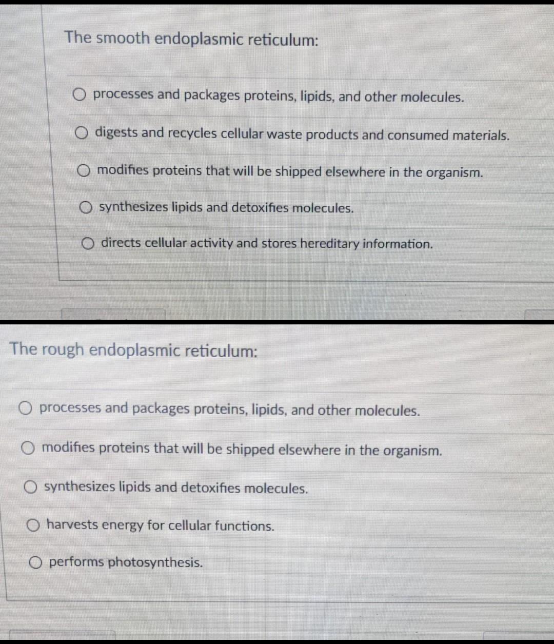 Solved The smooth endoplasmic reticulum: O processes and | Chegg.com