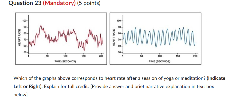 Solved Question 23 (Mandatory) (5 ﻿points) ﻿Which of the | Chegg.com