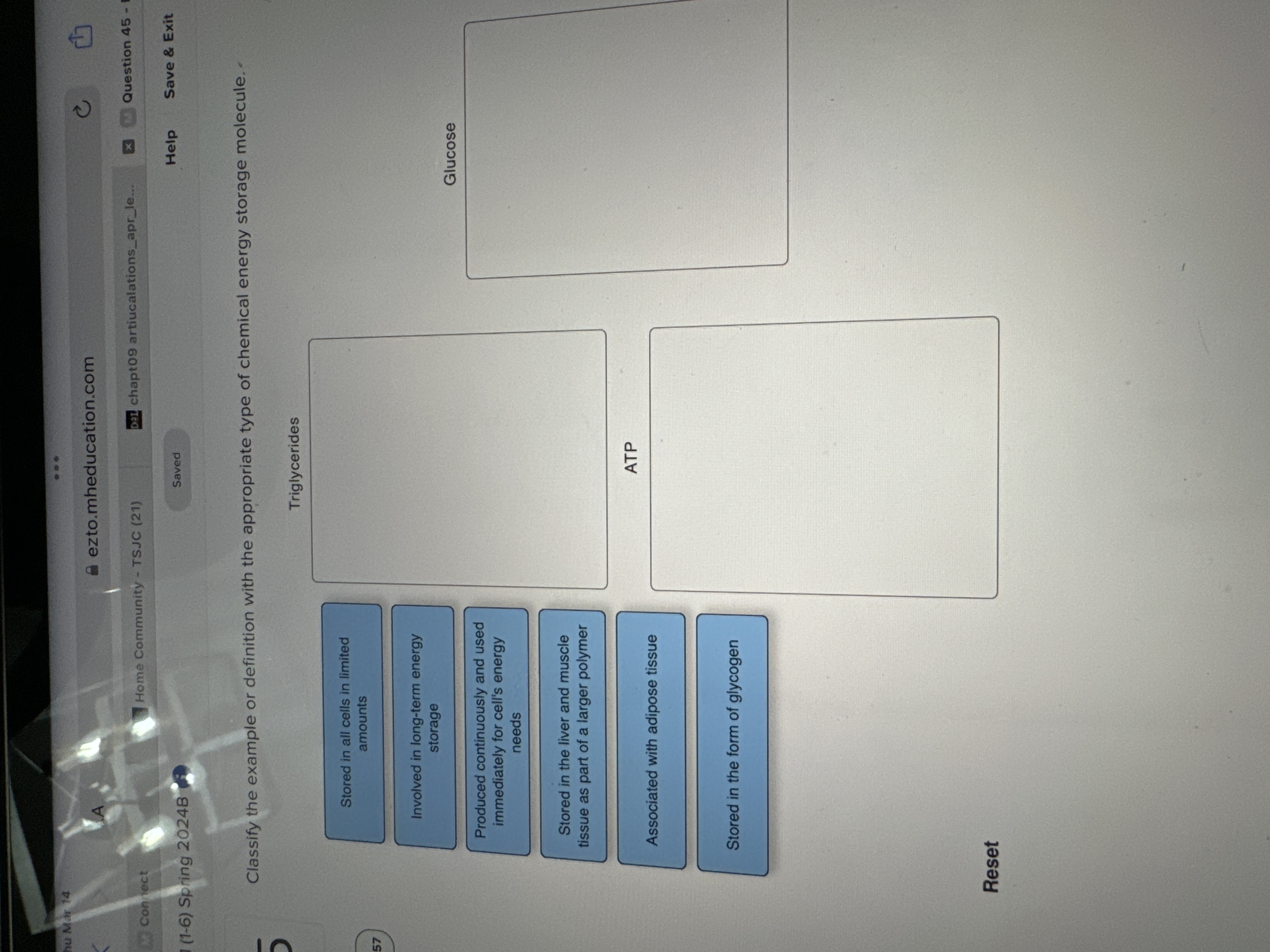 Solved Classify the example or definition with the | Chegg.com