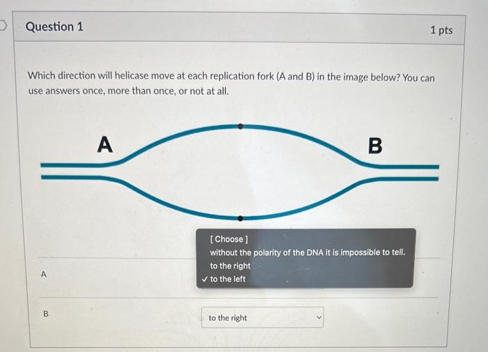 Solved Which direction will helicase move at each | Chegg.com