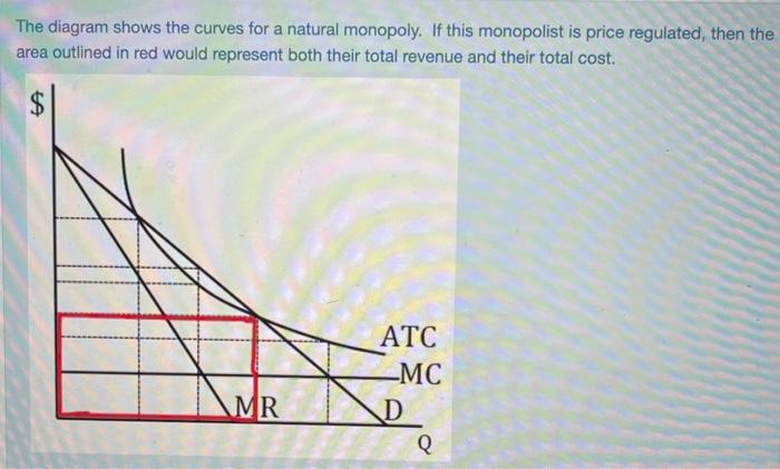 Solved The diagram shows the curves for a natural monopoly. | Chegg.com