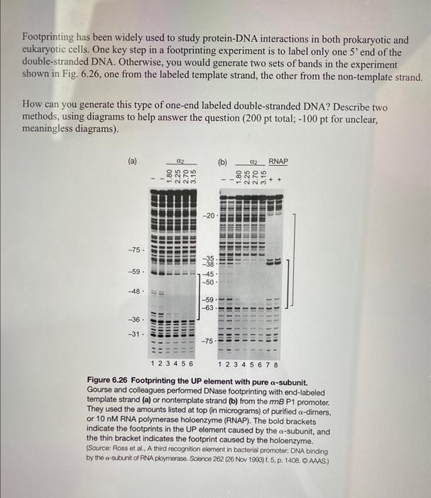 Footprinting has been widely used to study | Chegg.com