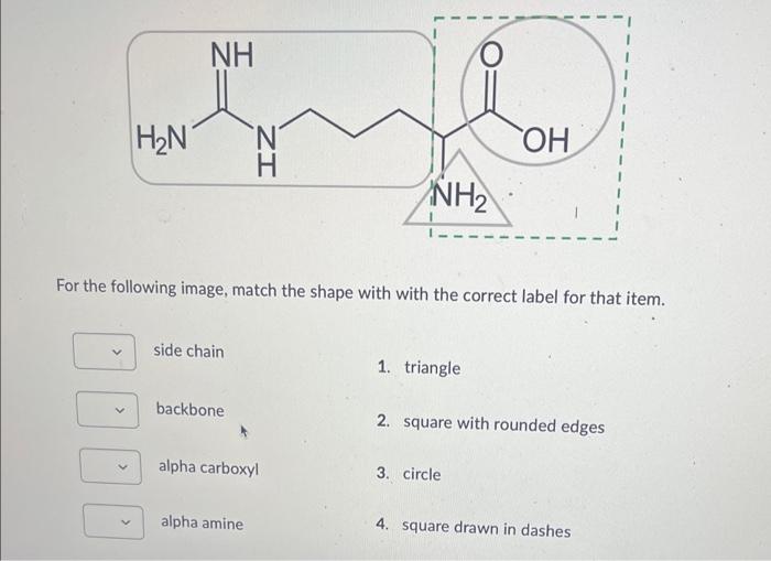 Solved For the following image, match the shape with with | Chegg.com