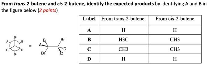 Solved From trans-2-butene and cis-2-butene, identify the | Chegg.com