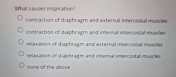 Solved What causes inspiration?contraction of diaphragm and | Chegg.com