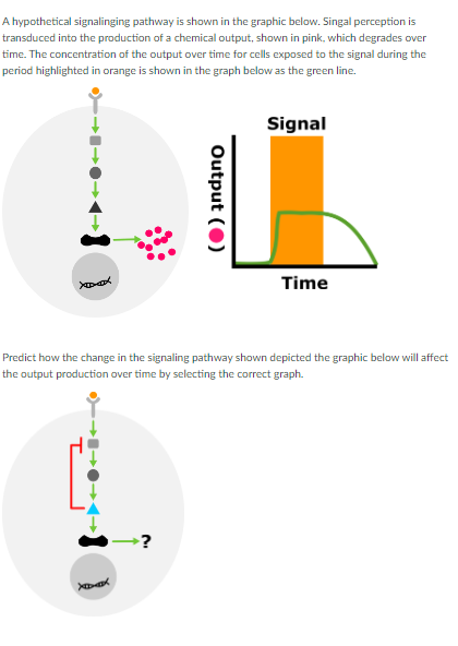Solved A hypothetical signalinging pathway is shown in the | Chegg.com