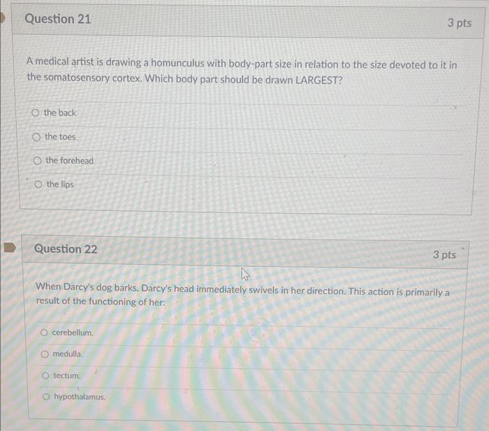 Solved A medical artist is drawing a homunculus with | Chegg.com