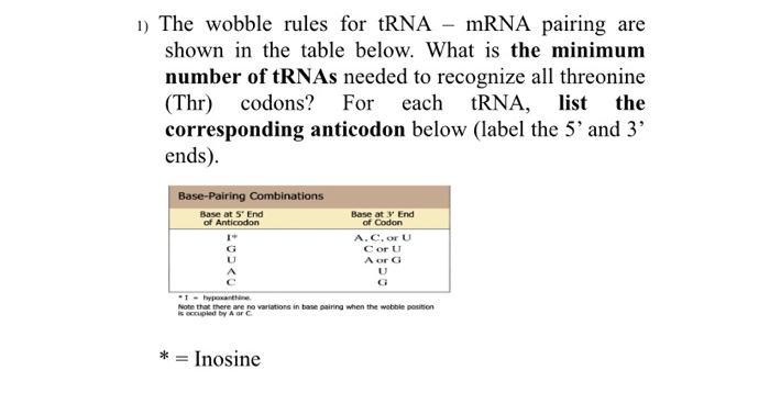 Solved 1) The wobble rules for tRNA – mRNA pairing are shown | Chegg.com