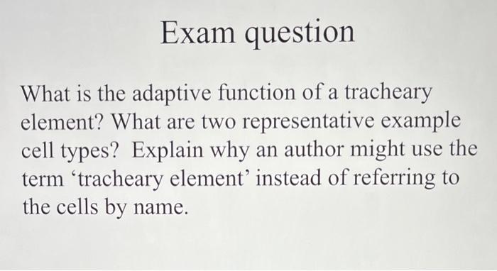 Solved What is the adaptive function of a tracheary element? | Chegg.com